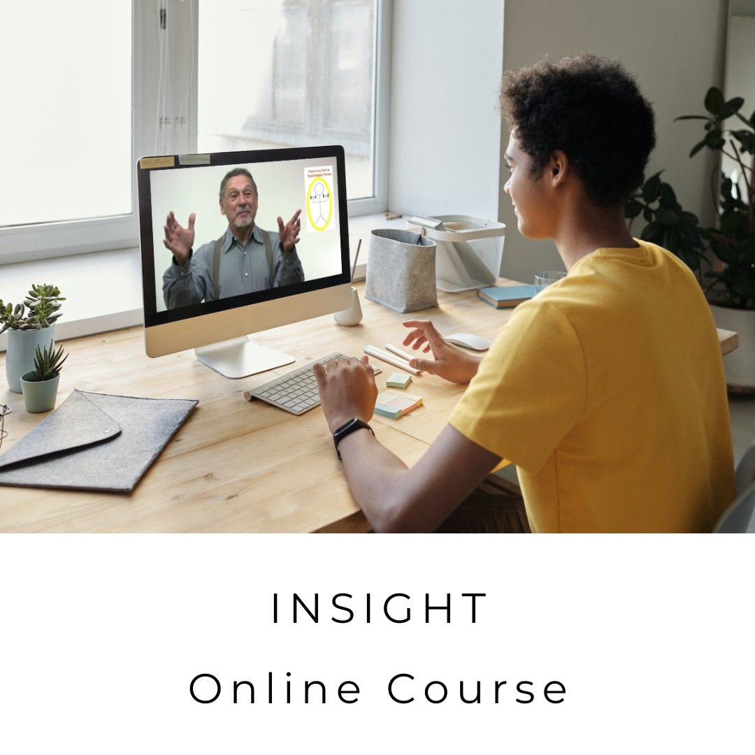 INSIGHT Online Course | Pransky & Associates