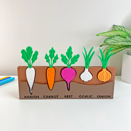 Rooted Vegetable Cross-Section Model - Hands on Science for Kids ...