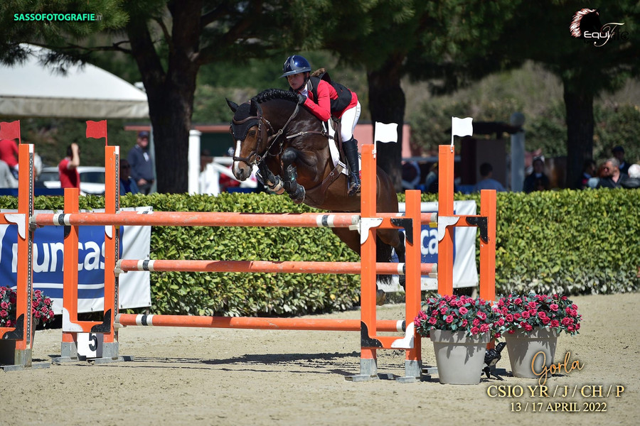 Anaconda Du Refleh | KIKKULI