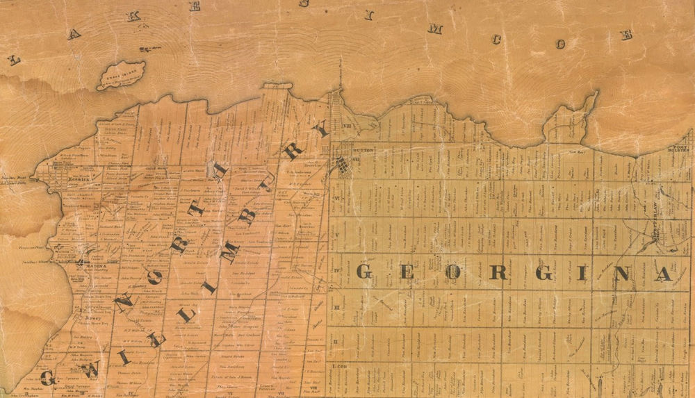 The History of Georgina