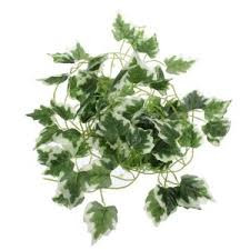 4' Strand of Green Ivy | eventrentalsnw