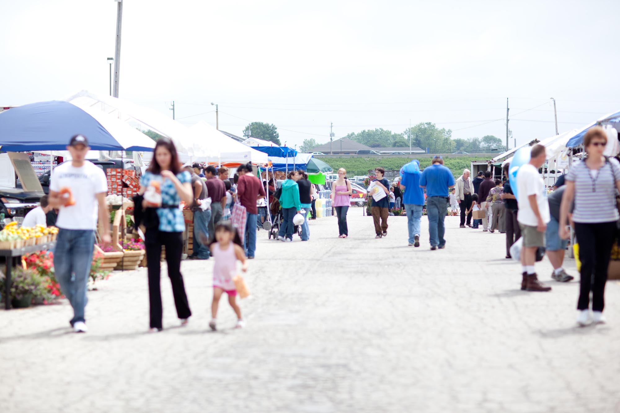 7 Mile Fair Outdoor Market