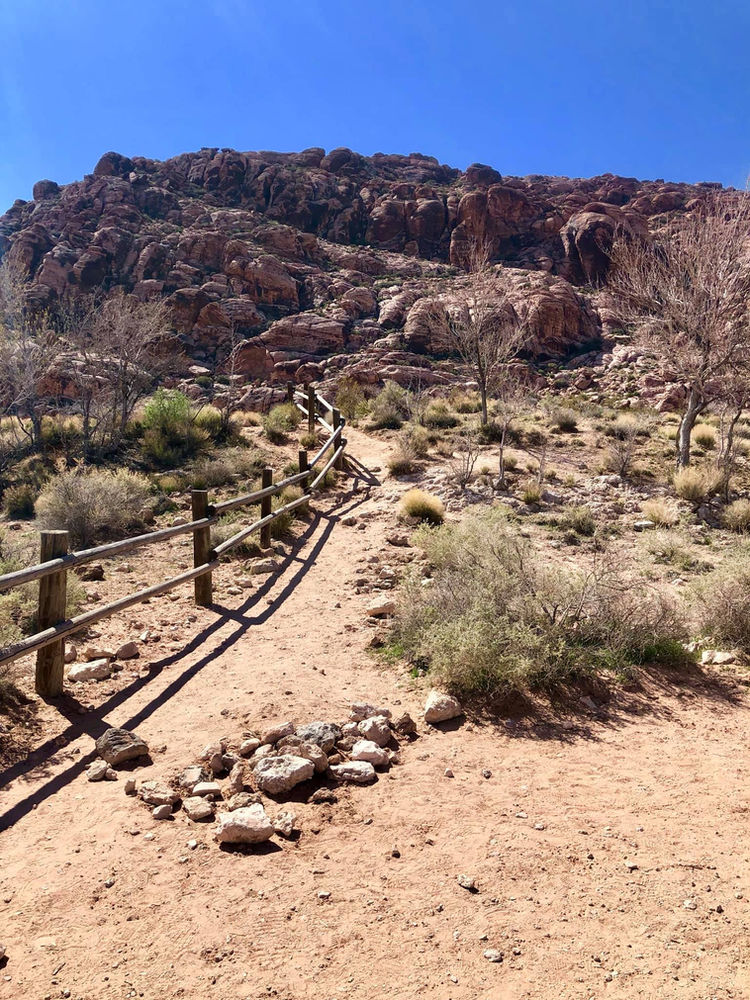 Mt. Charleston & Red Rock Canyon Trails - Las Vegas, NV - 2019