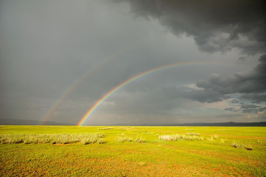 Australian Cardiology Services