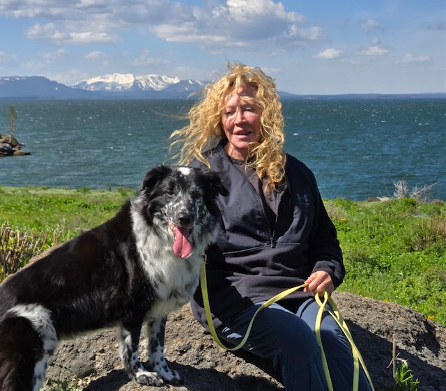 Sally Dunphy | Everything Dog