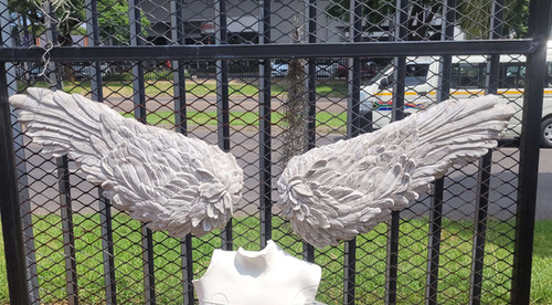 Angel Wing Set of 2 | TalkingPots