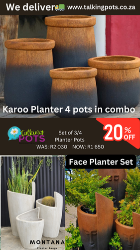 SALE PLANTER POT SETS | TalkingPots