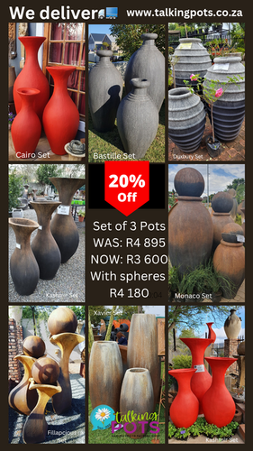 PROMOTION SET OF 3 POTS | TalkingPots
