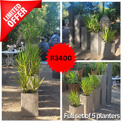 Square Super Slimline 5 Pots | TalkingPots