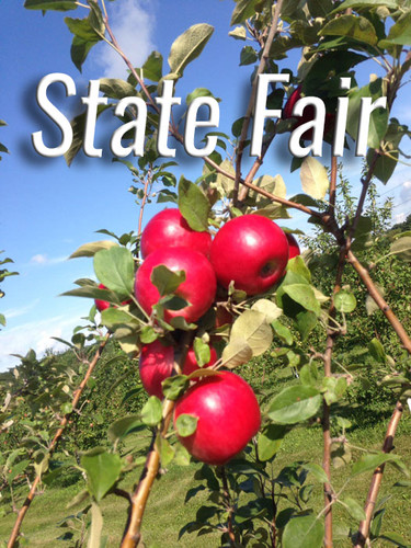 State Fair Apple | Spooky Tree Nursery