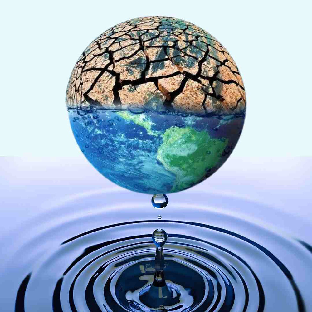 Water - Life in freshwater is in crisis!