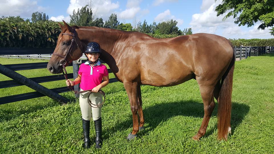 Lessons | Boca Riding Club