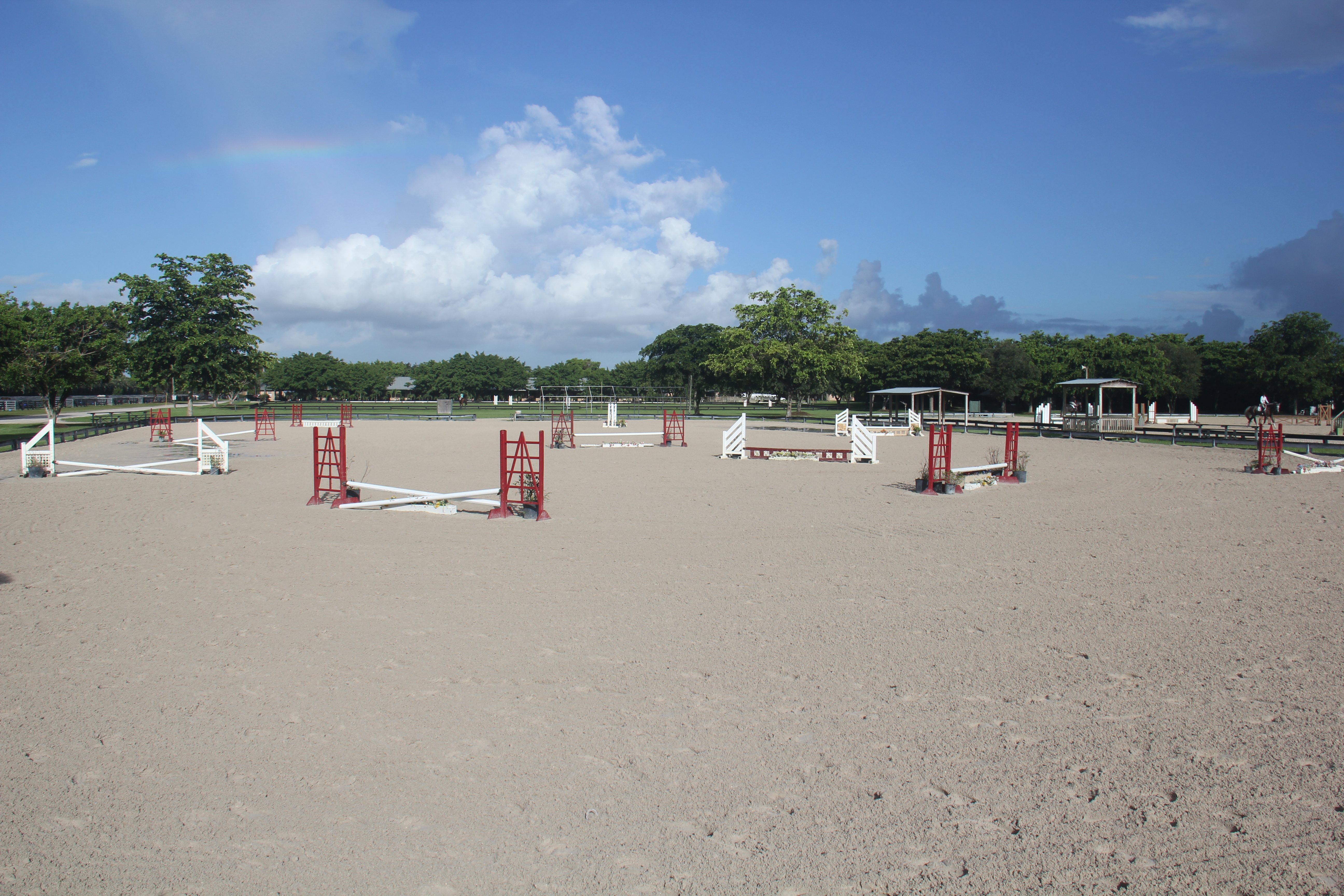 Lessons | Boca Riding Club
