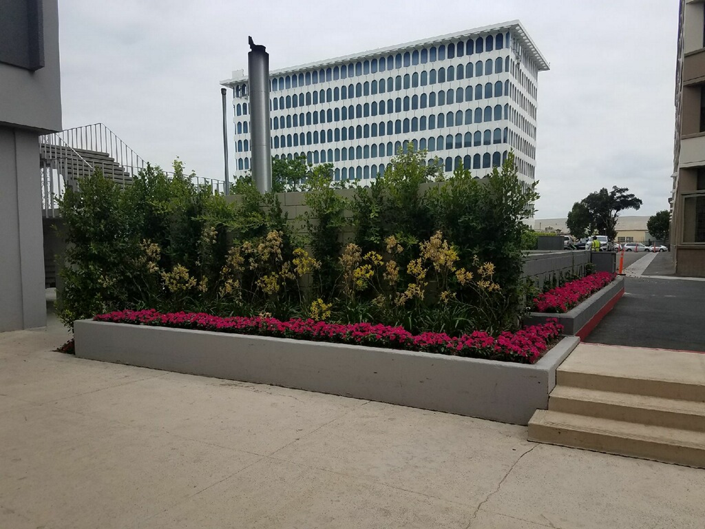 HOME | aspenmanagementgroup