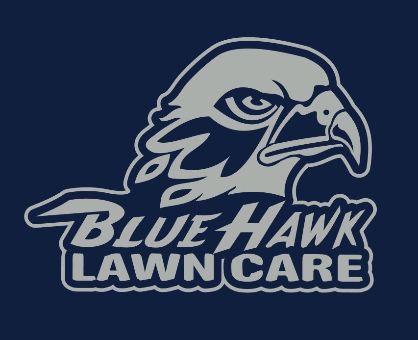 Lowes Blue Hawk Logo