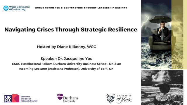 Navigating Crises Through Strategic Resilience