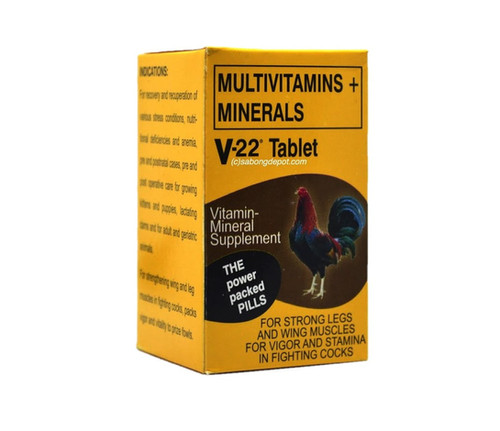 V-22 MULTIVITAMIN AND MINERALS | My Site