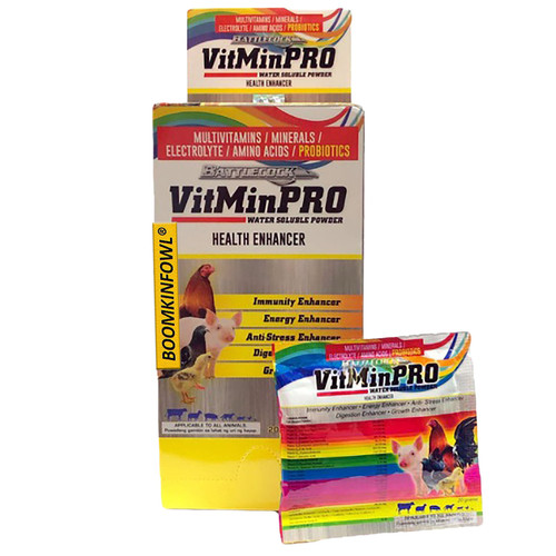 Vitamin Pro Powder (4, 20g Packs) | My Site