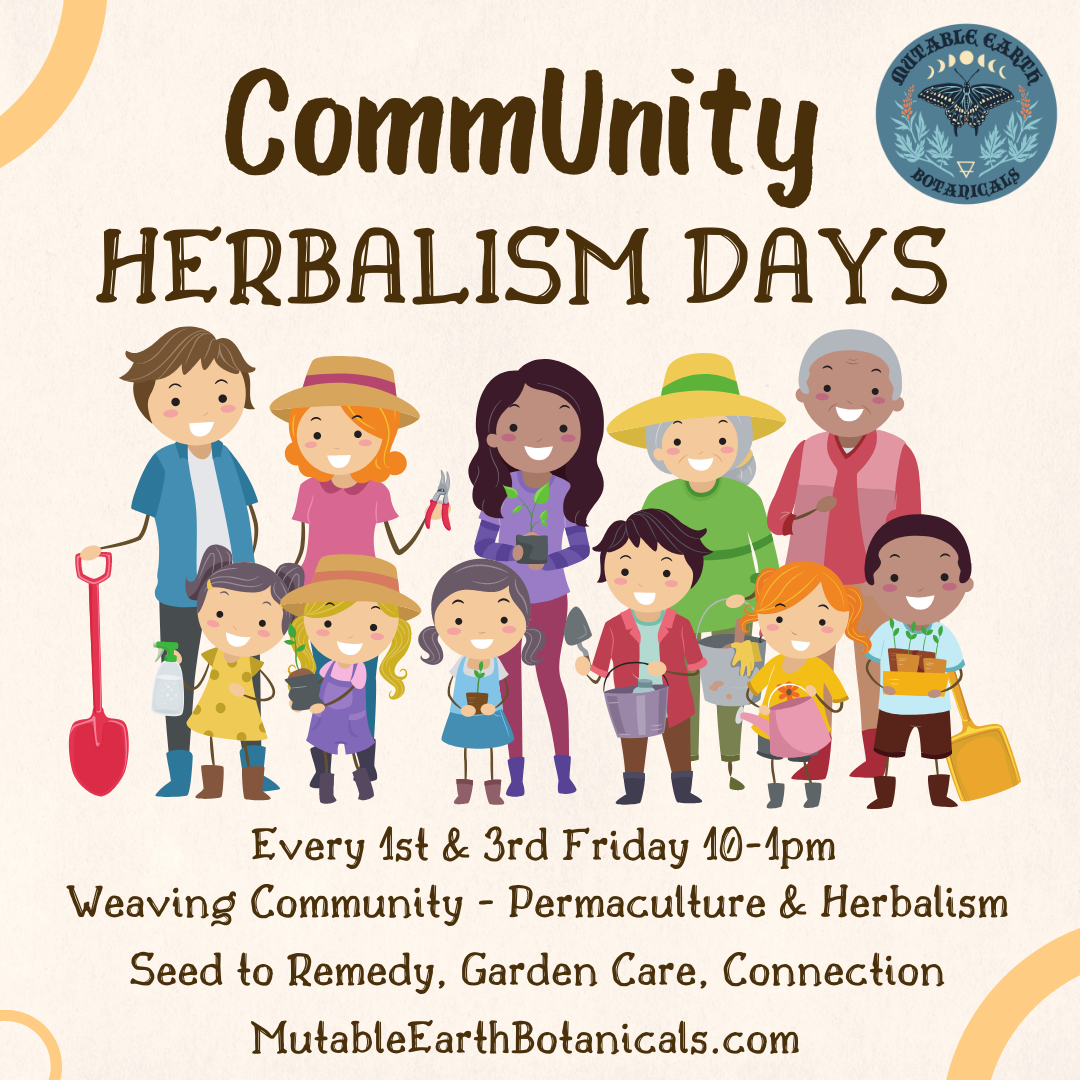 CommUnity Herbalism Day | Mutable Earth
