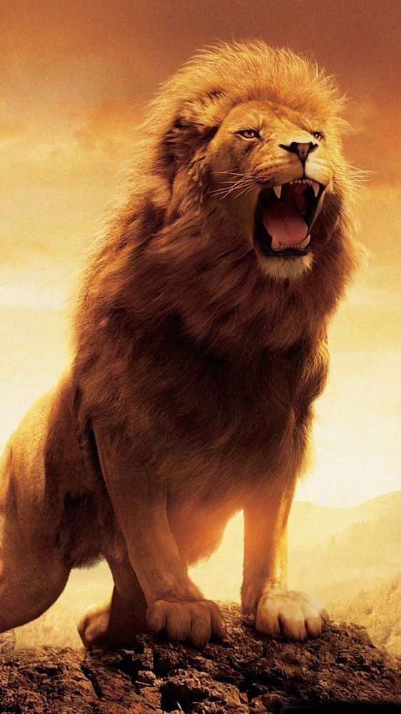 The Lion is Roaring