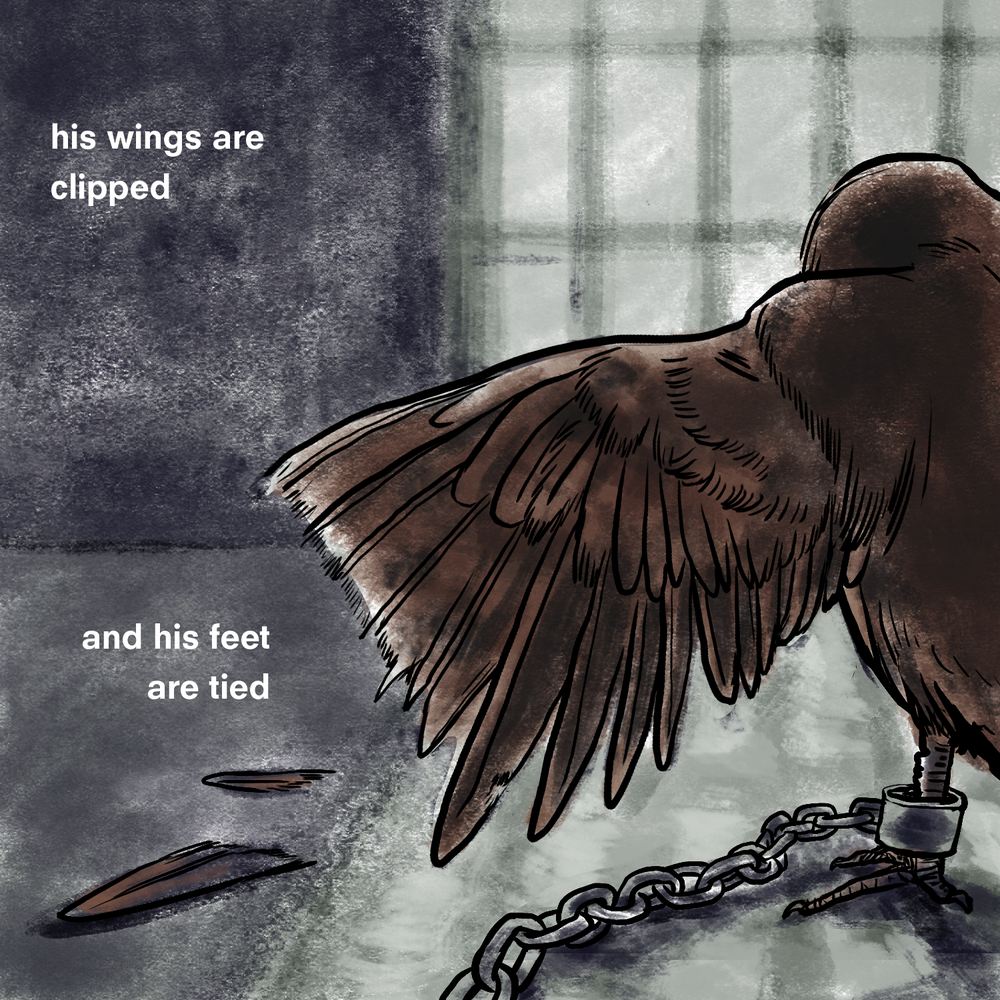 Caged Bird