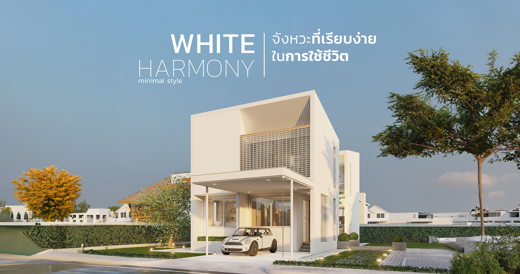 White harmony | Th precious