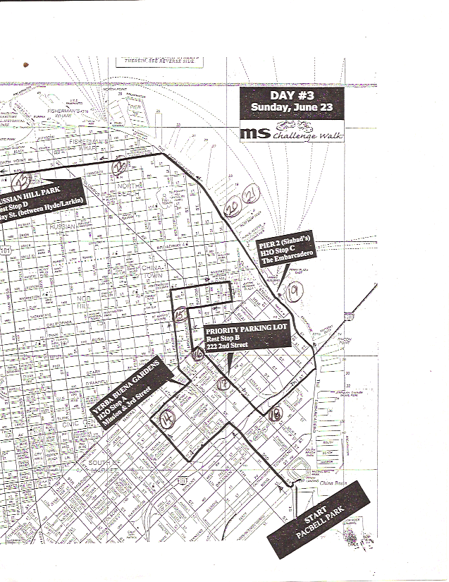 MS Challenge Walk | spqr