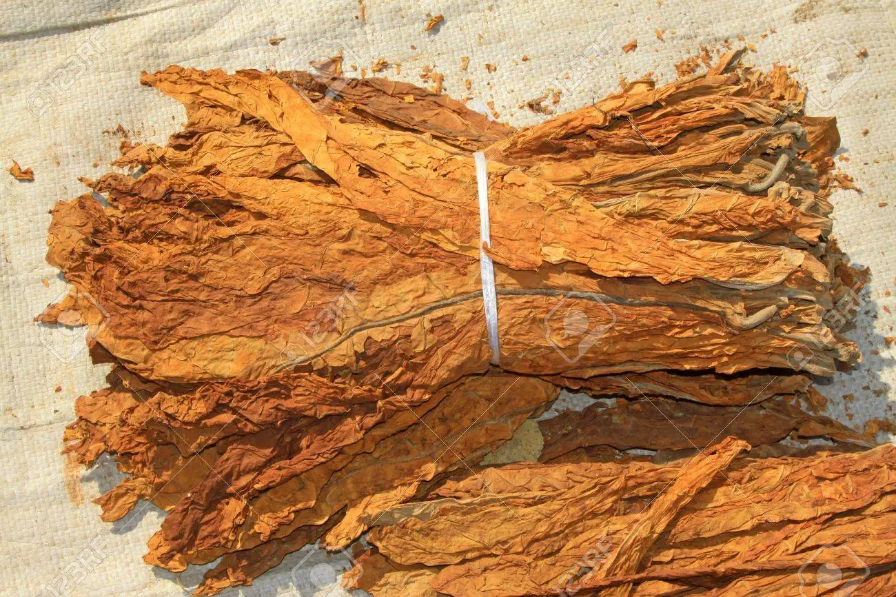 Four Sacred Medicines