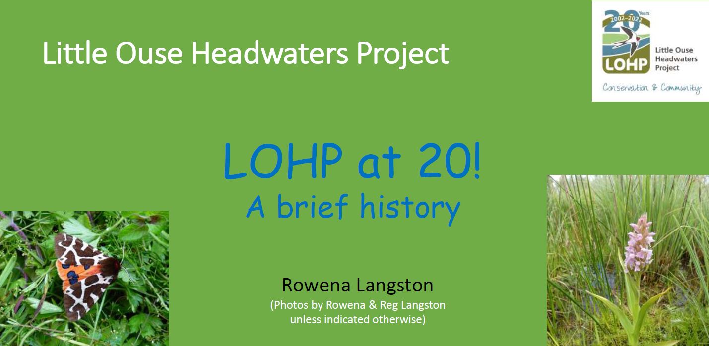 LOHP at 20!