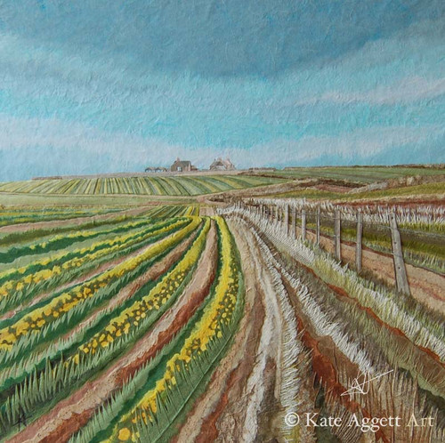 Spring Light | Kate Aggett