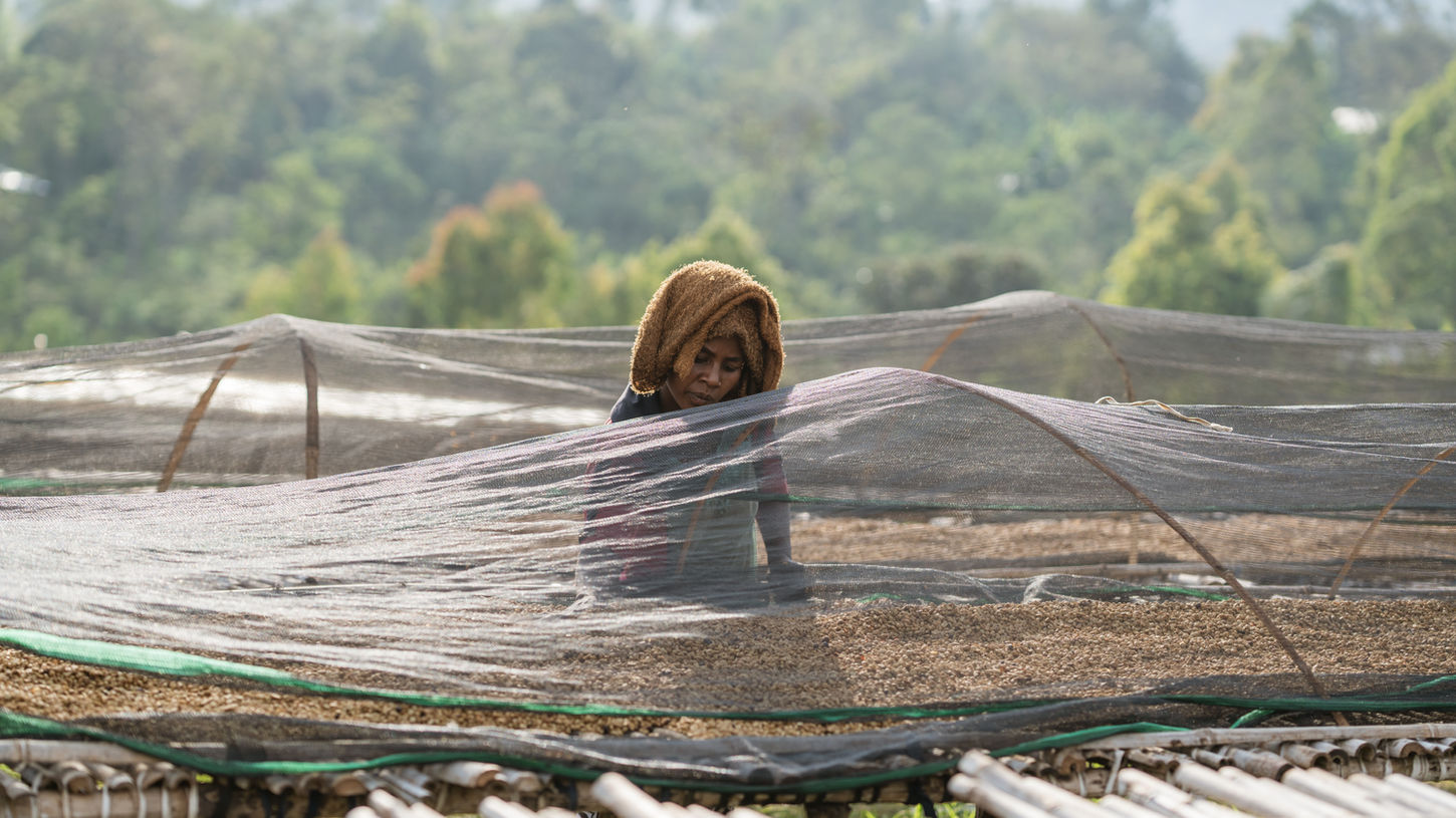 MAKETA | Daye Bensa Coffee