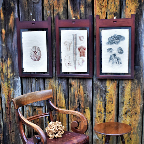 Antique 1824 John Lizars Anatomical Engraving Plates Framed Pictures ...