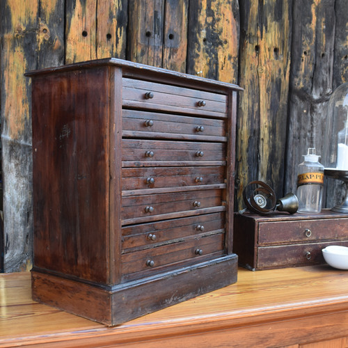 Antique 19th Century Specimen Display Cabinet Bank of Drawers Museum ...
