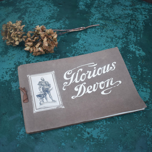 Antique 1910 Glorious Devon Harvey Barton & Sons 18 Hand Coloured Fine ...