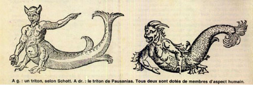Le Triton symbolisme