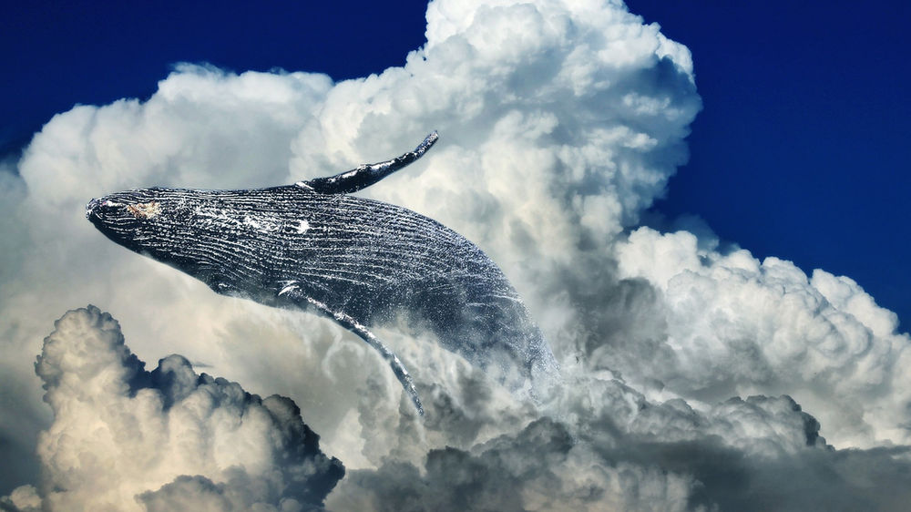 La Baleine symbolisme