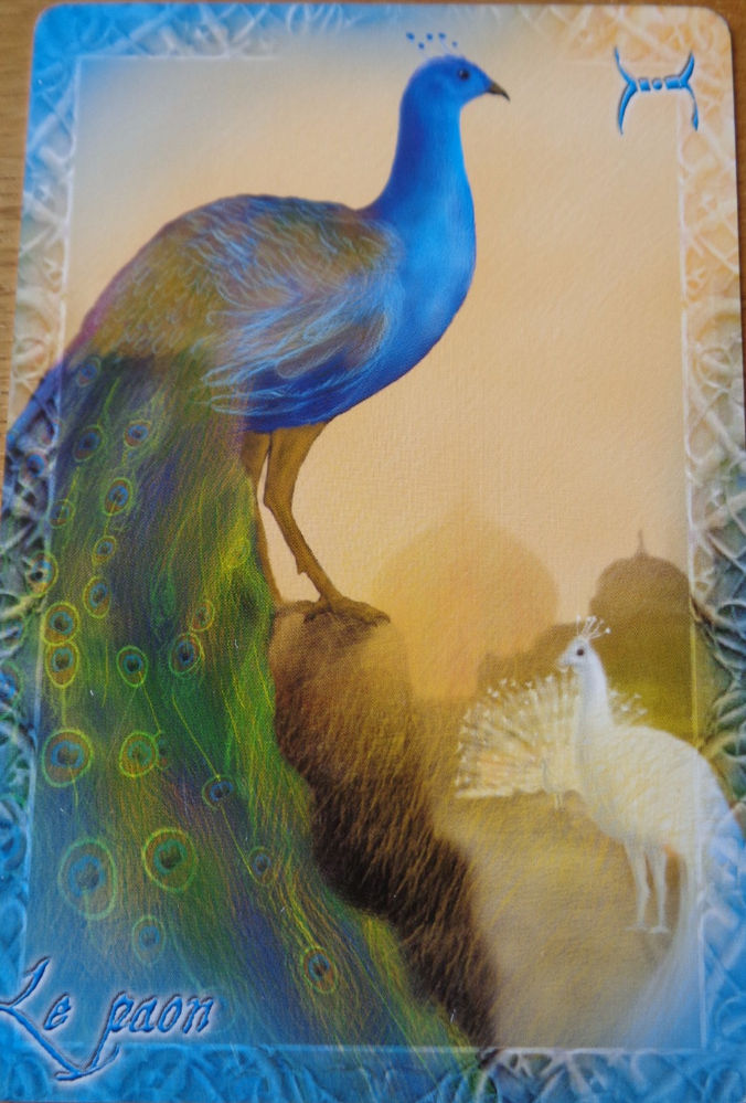 Le Paon symbolisme