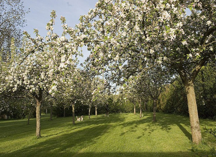 Le Pommier symbolisme