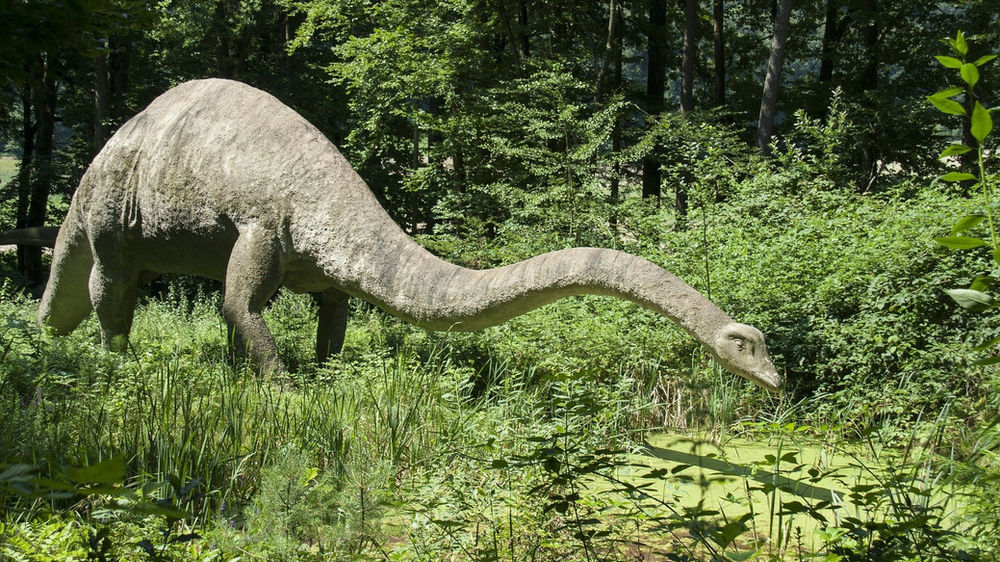 Le Diplodocus symbolisme