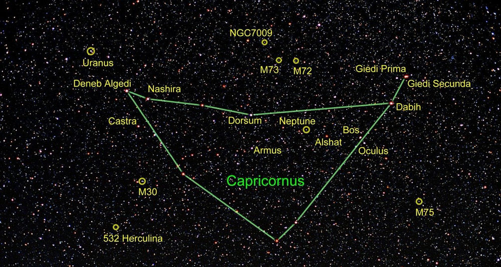 La constellation du Capricorne