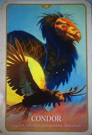 Le Condor symbolisme