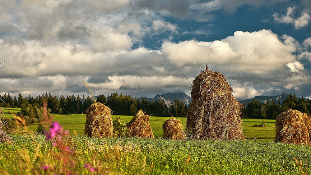 La Paille symbolisme