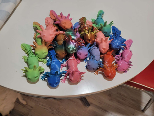 3D Axolotl toy (small) | WFA&E