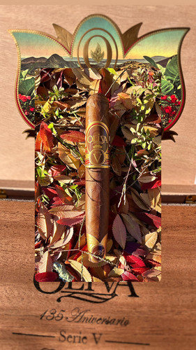 Oliva Serie V 135th Anniversary 5 Pack | Winston's Humidor