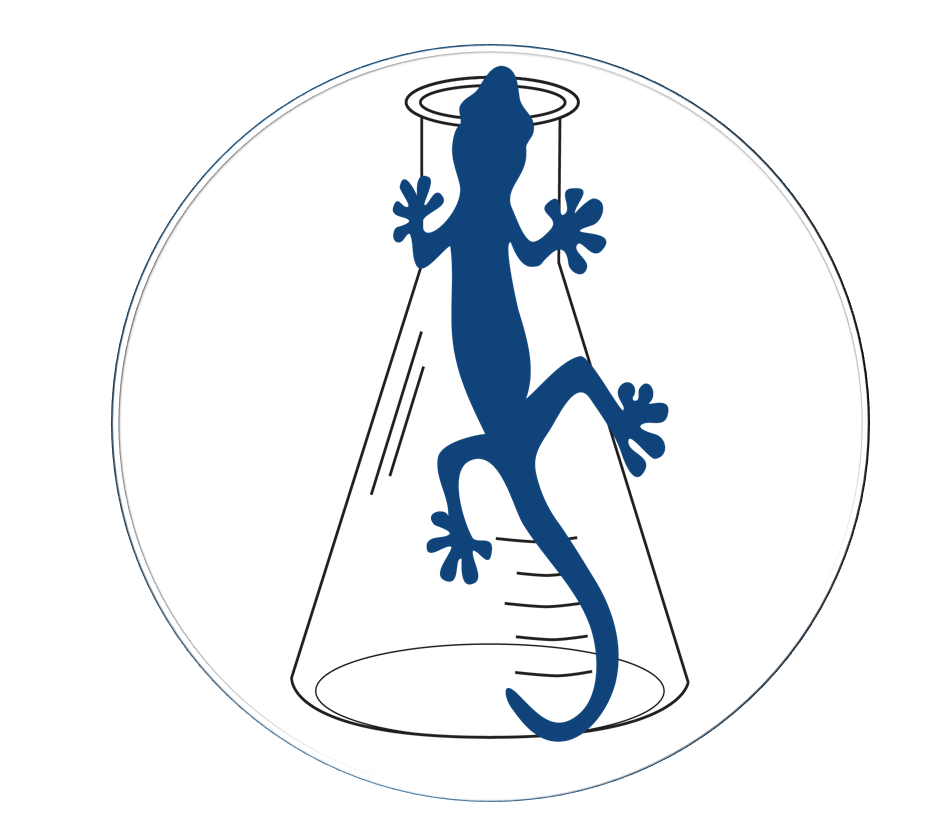 Présentation de JeCCo | JeCCo