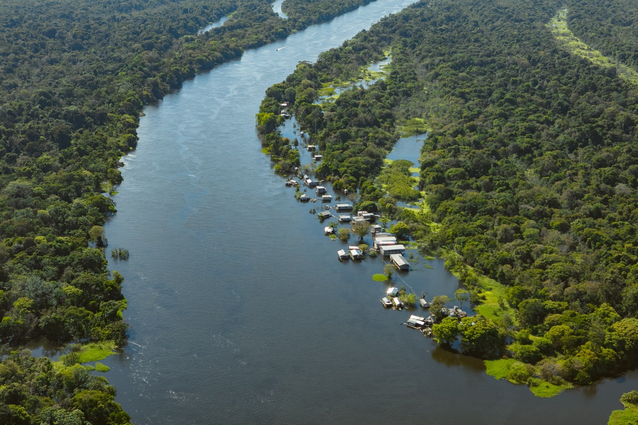 The Amazon Seen Through Lens