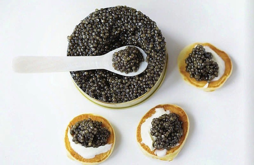 Paddlefish Black Caviar 16oz | absolute CAVIAR