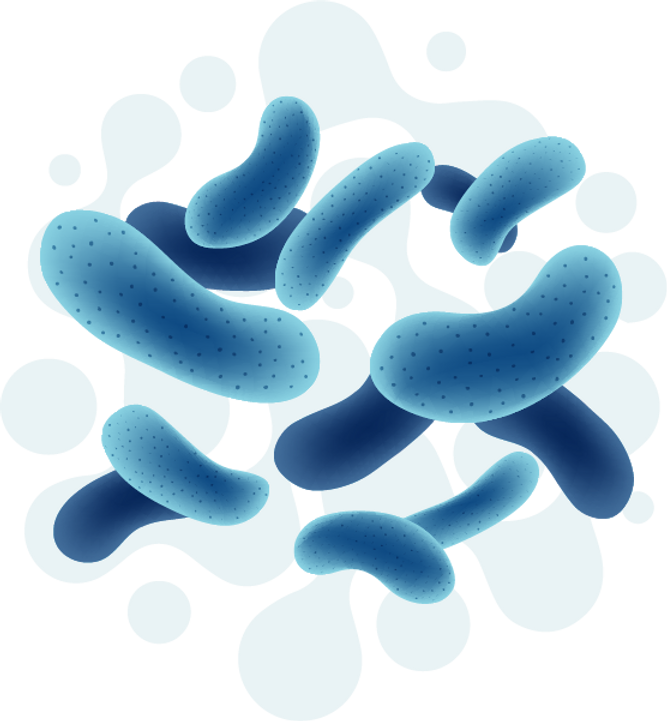 Bereum Postbiotics | The Next Frontier in Gut Health & Wellness!