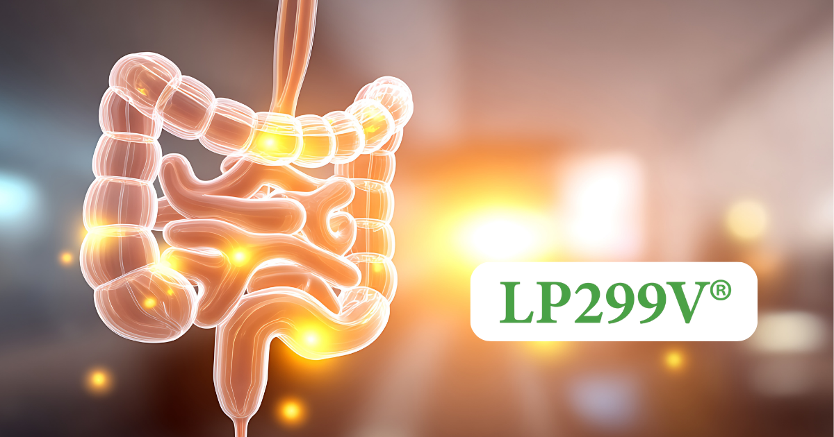 LP299V® | The Trinity Biotic For Gut, Heart & Blood