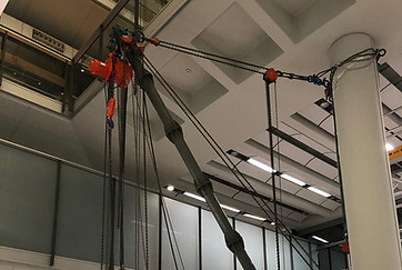 LALG Management System | ComWe Company Ltd